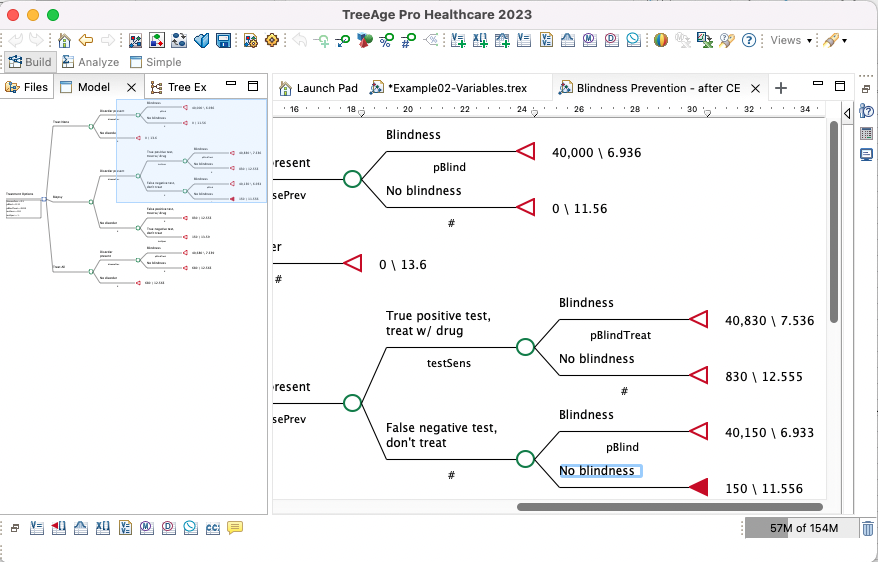 TreeAge Pro Workspace, Tree Explorer and Model Overview